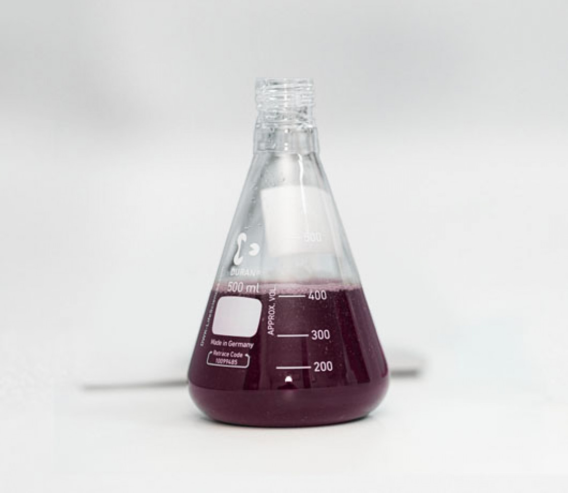 FerSol® | Sodium Ferrate | B2B Partner | Vivochem - Vivochem.en